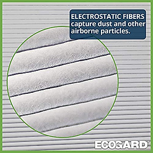 ECOGARD XC10434 Premium Cabin Air Filter Fits Nissan Rogue 2014-2020, Rogue Sport 2017-2019