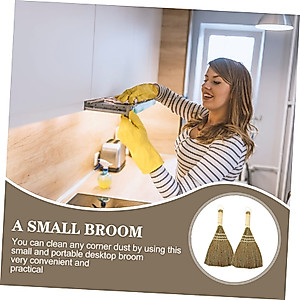 Generic 2Pcs Small Desktop Broom and Dust Brush Short Handle Dust Duster for Home Cleaning for Desk Table Kitchen and Indoor Use