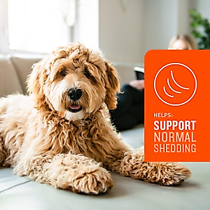 VetIQ Skin and Coat Supplement for Dogs, Helps Maintain Healthy Skin and Shiny Coat, Hickory Smoke Flavor Dog Chew, Made in The USA, 60 Count