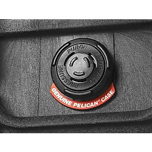 Pelican 1600 Case With Foam (Black)