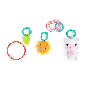 Bright Starts Daydream Blooms Activity Gym & Play Mat with Take-Along Toys, Ages Newborn + , 30x18x18 Inch (Pack of 1)