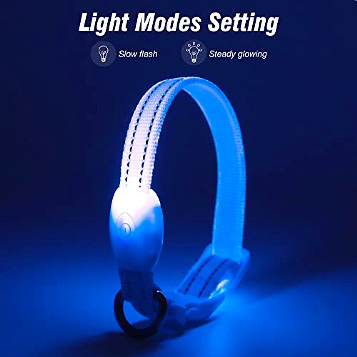 Visinite Light Up Dog Collars for Small Dogs,LED Dog Collar Light Rechargeable,Fully Adjustable Lighted Dog Collar,Glow in The Dark Dog Collars with Dog Lights for Night Walking,Blue