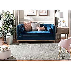 SAFAVIEH Evoke Collection 8' x 10' Silver / Ivory EVK270Z Shabby Chic Distressed Non-Shedding Living Room Bedroom Dining Home Office Area Rug