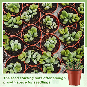 Yaomiao 200 Pcs 2 Inch Red Mini Plastic Plant Pot Nursery Seedling Pots Seed Starter with Drainage Holes for Indoor Outdoor Garden Succulent Plants Cuttings Transplanting