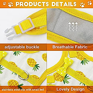 3 Pieces Guinea Pig Harness with Leash Small Pet Harness Fruit Plaid Pattern Adjustable Padded Walking Vest for Pet Hamster Ferret and Squirrel Small Animals (Pineapple, Red Plaid, Strawberry, Small)