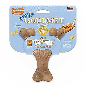 Nylabone Dog, Puppy Gourmet Style Strong Chew Toy Wishbone Peanut Butter Small/Regular (1 Count)