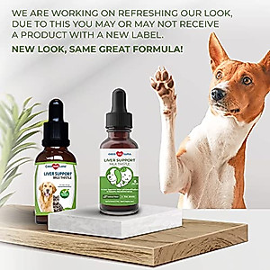 Milk Thistle for Dogs and Cats – Liver Support for Dogs and Cats, Milk Thistle Liver Detox, Dog Liver Supplement, Supplements for Dogs and Cats, Cat and Dog Detox – 2oz (60ml)