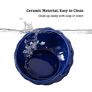 Jemirry Ceramic Elevated Cat Bowl Anti Vomiting, 15° Tilted Food and Water Cat Bowl Set, Raised Pet Bowl with Non-Slip Stand for Cat and Dog, Protect Pet's Spine, Microwave Dishwasher Safe (Sea Blue)