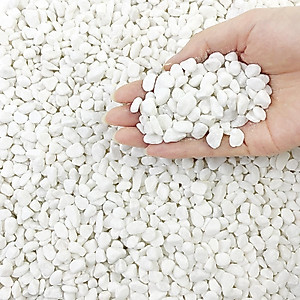 FANTIAN 2 lbs White Gravel, 3/8 Inch White Pebbles for Indoor Plants. White Stones for Succulents, Planters, Vase and Outdoor Garden Landscaping