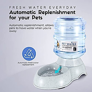 Flexzion Automatic Dog Water Bowl Dispenser for Cat Pet Animal (1 Gallon Dispener Water Jug) - Gravity Feeder Auto Replenish Waterer Drinking Bowl Fountain Bottle Dish Stand