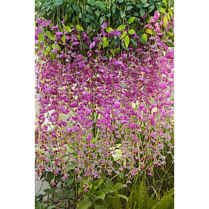 TINGE TIME 12Pcs Wisteria Hanging Flowers Garland Artificial Wisteria Vine Silk Hanging Flower for Home Garden Outdoor Ceremony Wedding Arch Floral Decor (Purple)