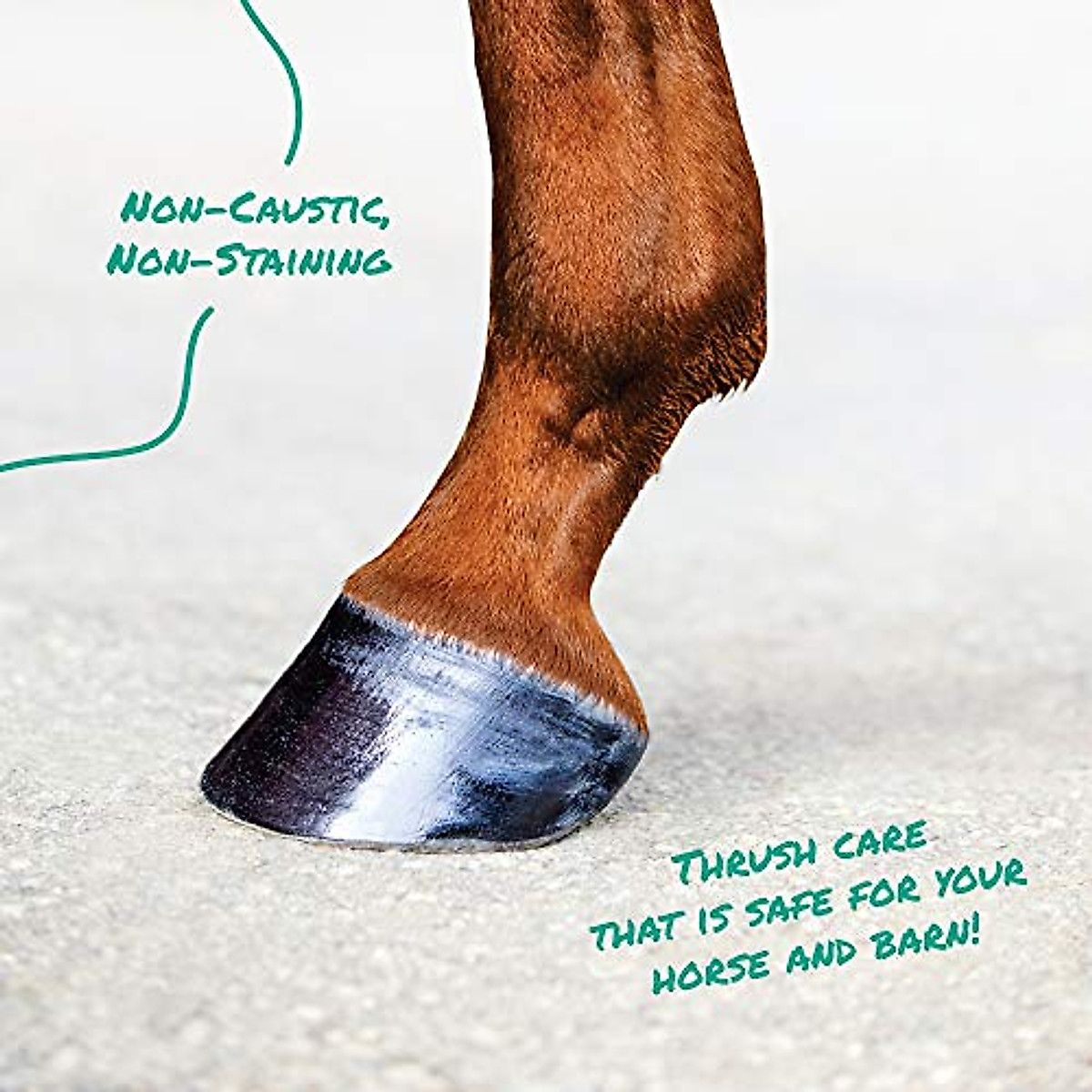 Corona Spray Staining, Non-Caustic Thrush Care for Horses | 8 Fluid Ounces