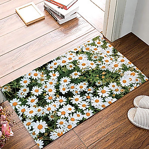 Door Mat for Bedroom Decor, Small Daisies Floor Mats, Holiday Rugs for Living Room, Absorbent Non-Slip Bathroom Rugs Home Decor Kitchen Mat Area Rug 18x30 Inch