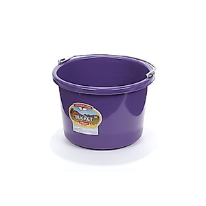 Little Giant® Plastic Animal Feed Bucket | Round Plastic Feed Bucket with Metal Handle | Made in USA | 8 Quarts | Purple
