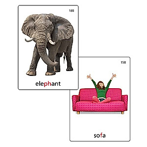 Super Duper Publications | Articulation Photos F Fun Deck Flash Cards | Educational Learning Resource for Children