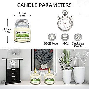 Soyyla Citronella Candles Outdoor and Indoor, 4 Packs of 4 oz Portable Glass Jar Candle, Natural Soy Wax Off Candles Set for Home Patio Camping Beach Themed Gifts