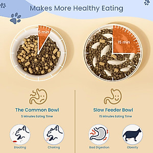 JuWow Elevated Ceramic Cat Slow Feeder Bowl, Anti Gulping Healthy Eating Diet Pet Food Bowl, Non-Slip Whale Shape Design and Raised Rim Spill Proof Slow Bowl for Kitten(Ceramic&White)