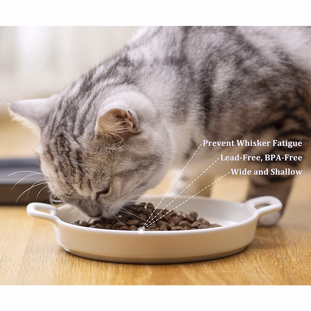 Lakerwin Ceramic Cat Bowl, Whisker Fatigue Relief Cat Food Dish, Shallow Wide Pet Feeding Plate for Cat, Kitten and Kitty, Short Legged Munchkin Cat, Pink & White