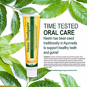 TheraNeem Neem Toothpaste, Mint | Supports Healthy Teeth and Gums and a Fresh Mouth | Fluoride Free | Travel Size, 0.7oz