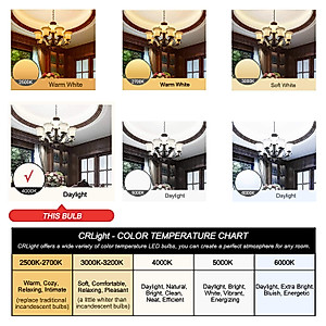 CRLight 4W Candelabra LED Edison Bulb 45W Equivalent 4000K Daylight White 450LM Dimmable, E12 Antique ST48 / ST14 Clear Glass LED Light Bulbs, Pack of 6