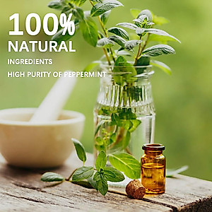 SUAVEC Rodent Repellent, Mice Mouse Repellent Peppermint, Rat for House, RV Deterrent, Away Repellant Campers, Mint - 8 Packs Rodent-8PGreen