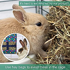 2 Pieces Guinea Pig Hay Bag Washable Pet Rabbit Hay Feeder Bag with 2 Holes Cute Small Animal Hanging Feeder Sack Storage for Rabbit Guinea Pig Chinchilla Hamster Small Pets (Flamingo, Orange)
