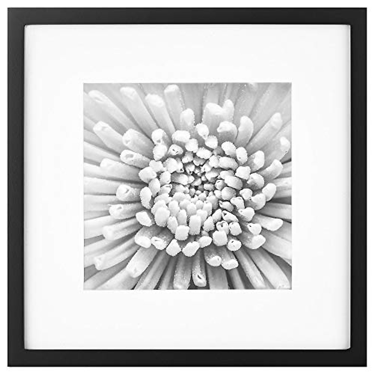 Gallery Perfect 9 Piece Black Square Photo Frame Gallery Wall Kit with Decorative Art Prints & Hanging Template