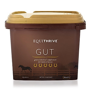 Equithrive Horse Gut Pellets with Probiotics, Psyllium Husk Powder, Sodium Bicarbonate and Omega 3 Fatty Acids, Digestive Support Supplement, 3.3 lbs