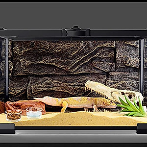 WEAVERBIRD 6Pcs Glass Reptile Feeder Food Bowl,Food Basin Tray Container Water Dish Cup, Reptile Terrarium Water Bowl,Round Water Dish Cup for Small Pet Lizard Turtle Spider Scorpion Frog Cricket