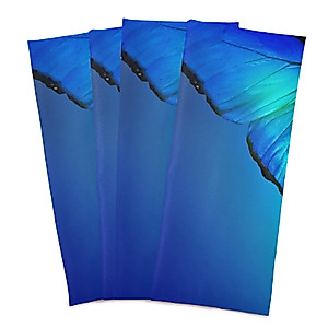 Blue Butterfly Dish Towels for Kitchen Soft Tea Towel Set of 4 Absorbent Dishcloths Hand Towels for Drying Dish Cloths 28" x 18"