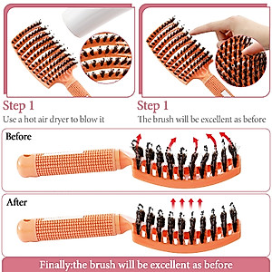 Zopeal 9 Pieces Boar Bristle Curved and Vented Brush for Detangling Dry, Wet, Curly, Thick or Straight Hair - Enhances Shine for Women, Men, and Kids