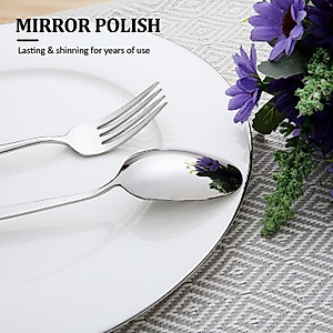 Lorena 20-Piece Stainless Steel Silverware Flatware Cutlery Set, Service for 4, Eclipse