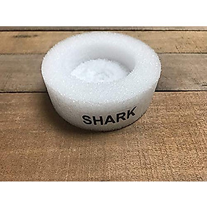 Real Shark in a Bottle Jar, Marine Specimen Taxidermy, Fishing, Jaws