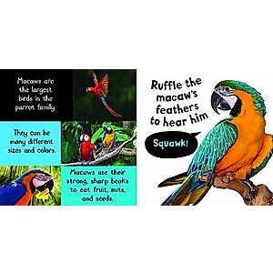 Noisy Animals: Includes Six Sounds! (My First)