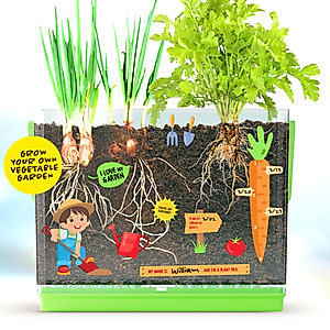 Root Viewer Kit for Kids - Easter Gifts - Grow Your Own Plant for Boys & Girls - Science STEM Toy & Craft Growing Kits for Ages 4-8 Birthday Gifts for Boy, Girl 4, 5, 6, 7, 8, Year Old - Gardening Toy