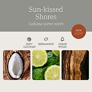 Drift Car Air Freshener - Stone Air Freshener - Car Odor Eliminator - Cabana Scent Starter Kit