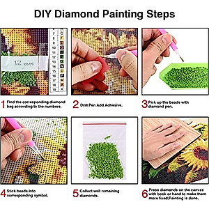 DaiCur Diamond Painting Kits, 9 Pack Gnome Diamond Art Kits for Adults, DIY 5D Round Full Drill Crafts Diamond dotz Home Wall Decor Gifts (12x16inch)