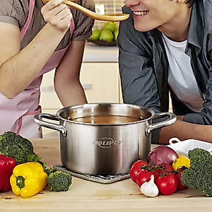 HOLIPOT Stock Pot, 3.5 Quart Tri-Ply Stainless Steel Pot with Double Handle, Soup Cooking Pot with Lid and Mini Silicone Oven Mitts, Induction Compatible, Dishwasher Safe