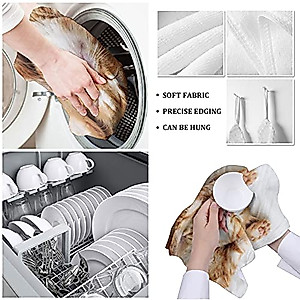 BULING Soft and Super Absorbent Dish Towels Cute Cat Lovely Animal for Pet Lover 2PCS Microfiber Kitchen Towels for Drying Dishes,Multipurpose Dish Cloths - 28 x 18 Inch