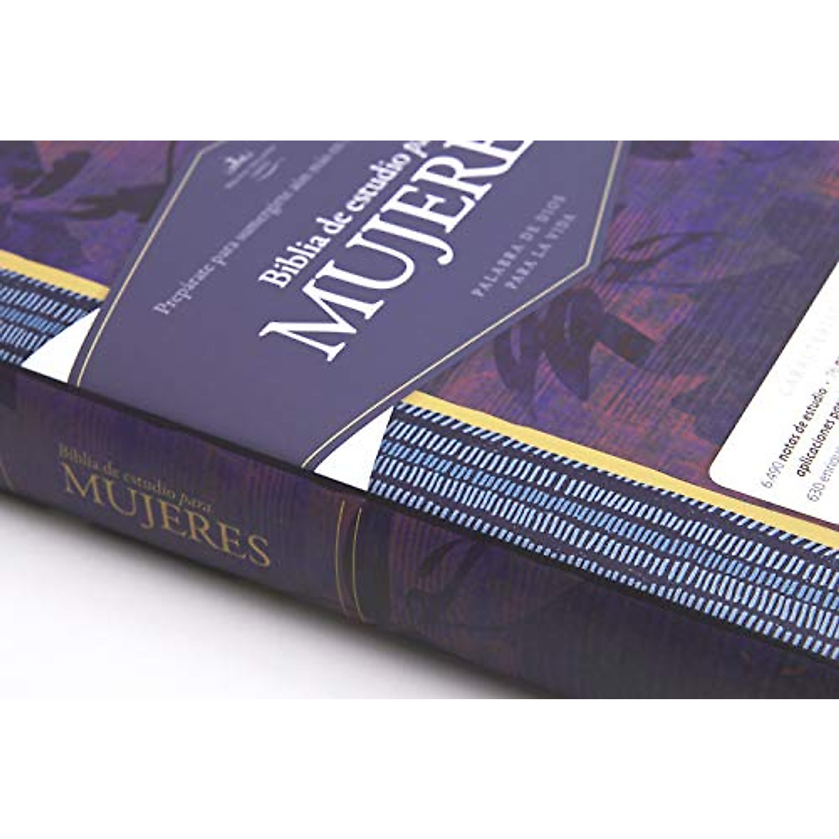 Biblia Reina Valera 1960 de Estudio para Mujeres, Tapa dura | RVR 1960 Women Study Bibl, Hardcover (Spanish Edition)
