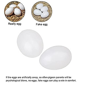 Maxmoral 12pcs Fake Eggs Plastic False Pigeon Eggs for Hatch Breeding Supplies Solid Pigeon Fake Egg Pigeon Hatching Supplies