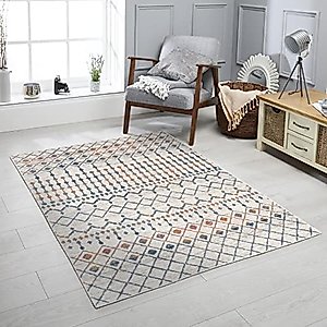 Adiva Rugs Area Rug for Living Room, Bedroom, Bathroom, Kitchen, Persian Vintage Home Decor, Floor Decoration Carpet Mat, Medium Pile for Entryway, Underneath Furniture (Multicolor, 3' x 6')