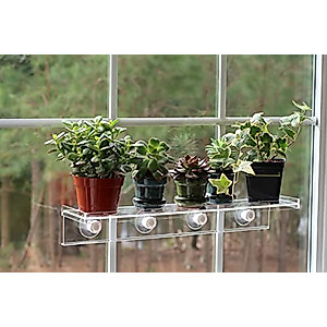 LaBrinx Designs Extra Large Suction Cup Shelf - Live Plants, Windows, and Bathrooms