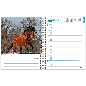 Horse Lovers | 2023 6 x 7.75 Inch Spiral-Bound Wire-O Weekly Engagement Planner Calendar | New Full-Color Image Every Week | BrownTrout | Animals Equestrian