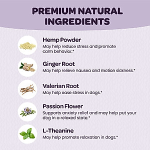 Ready Pet Go! Calming & Multivitamin Chews for Dogs | Vitamins for Skin, Coat, Hip & Joint Health | Helps with Dog Anxiety, Separation & Barking | 90 Chews Each