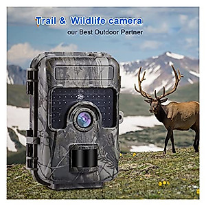 rouroumaoyi Tracking Camera Wildlife Observation Camera HH-662 16MP 1080P 0.6S Motion Digital Infrared Trail Camera Night Vision Wild Cam Photo Traps Game Camera (Color : HH-662)
