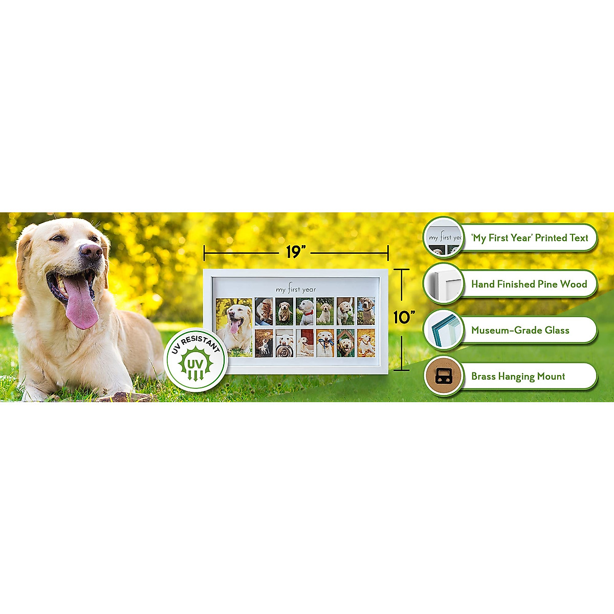 Green Pollywog | My First Year Picture Frame for Dogs | 12 Month Photo Frame | White Wood Frame | Fur Baby Frame | Fur Baby Milestone Picture Display | Dog Keepsake Frame | Dog Birthday Gift