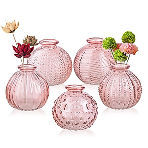 ELEGANTTIME Single Glass Bud Vase Pink Glass Vases for Centerpieces Decor Glass Flower Vase Bottle with Crok Wire Iron Handle Design for Cafes, Office Table, Home and Garden
