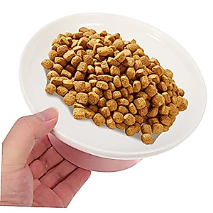 Dishes Feeding Dogs Protection Food Raised Washable Dishwasher Prevention Stand Eating House Backflow Pet Water Neck Puppy Kitten Stable Safe Supply Base Tray Easy Holder Feeder