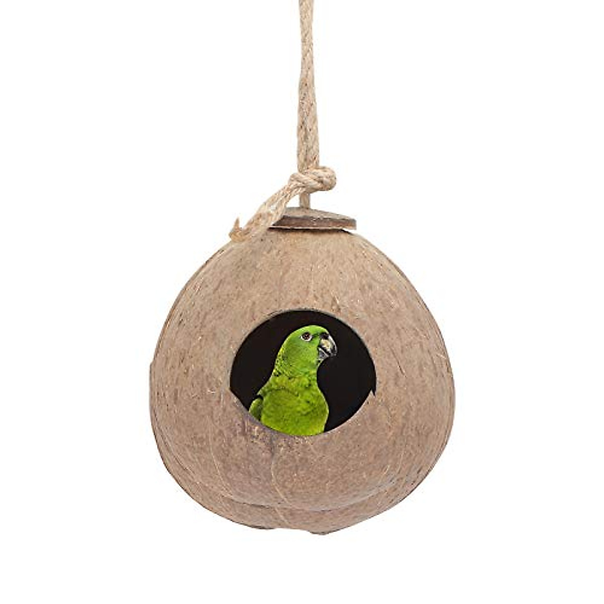 TEHAUX 1Pc Coconut Shell Bird Nest Bird House Bed pet Hanging Bed Bird hut Winter Hanging Birds House Outdoor Bird House Hideaway Bird Toy Birds Perch nests Wooden Decorate Rope